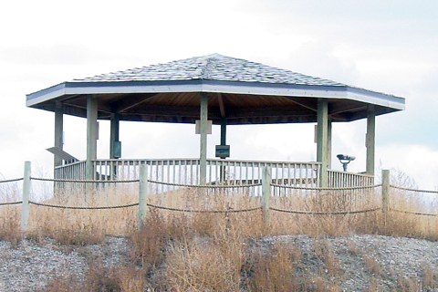 Octagon Post & Beam - Cedar Forest Products